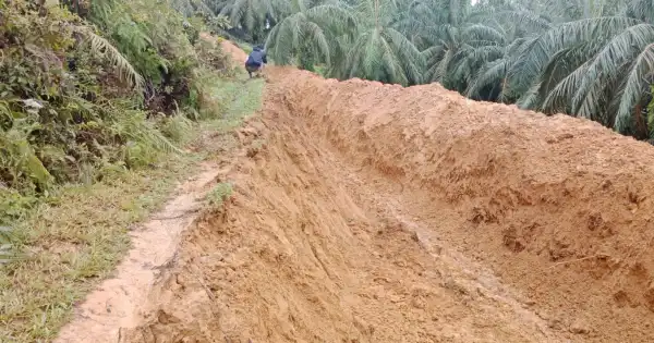 Jalan Induk Kampung Bukit Panjang Amblas Akibat Pengerukan Parit ...