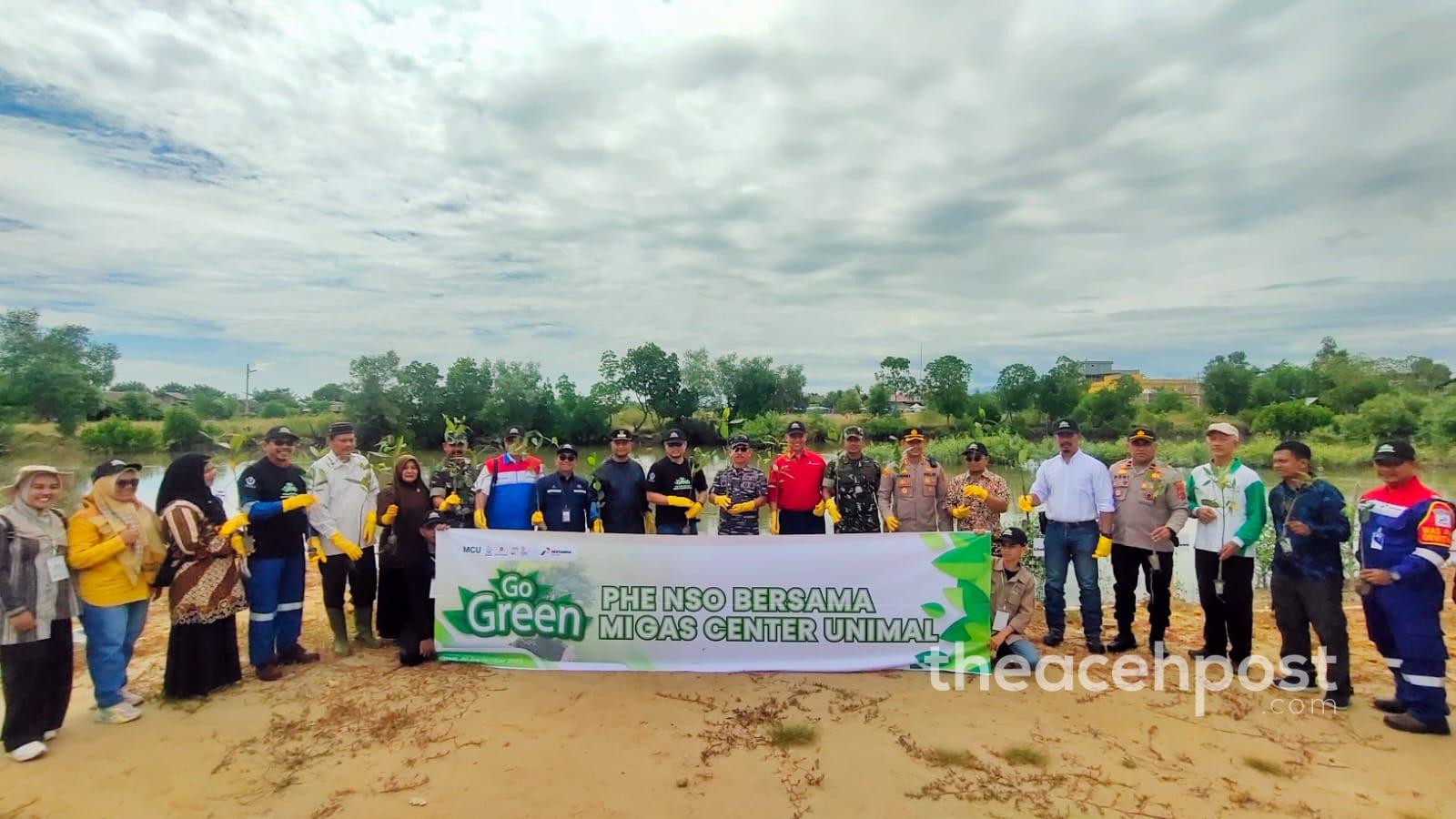 Jaga Keseimbangan Ekosistem, PHE-NSO dan Unimal Tanam 5.000 Mangrove di ...