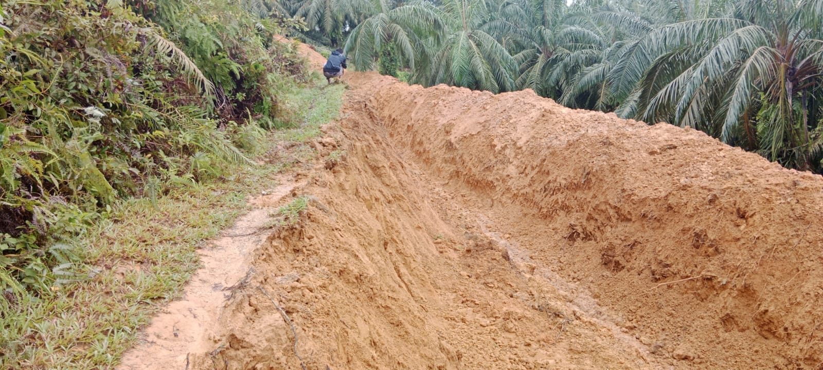 Jalan Induk Kampung Bukit Panjang Amblas Akibat Pengerukan Parit ...