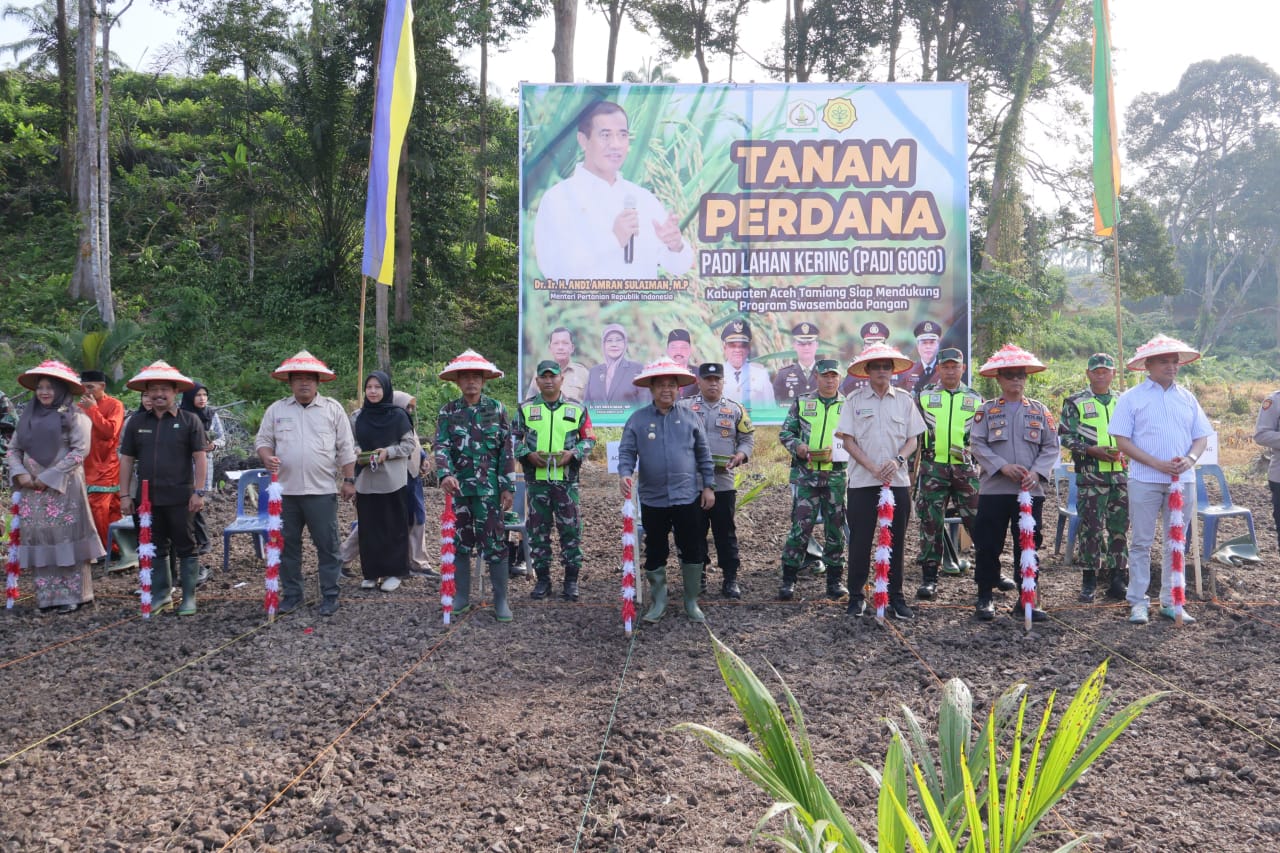 Dukung Swasembada Pangan Nasional, Pemkab Aceh Tamiang Tanam Padi Gogo di Lahan PSR